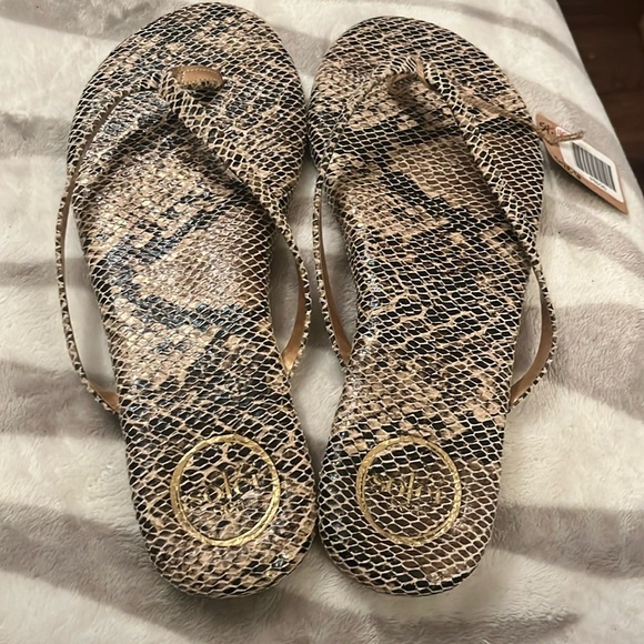 solei | Shoes | Solei Sea Python Flip Flops Size 6 | Poshmark